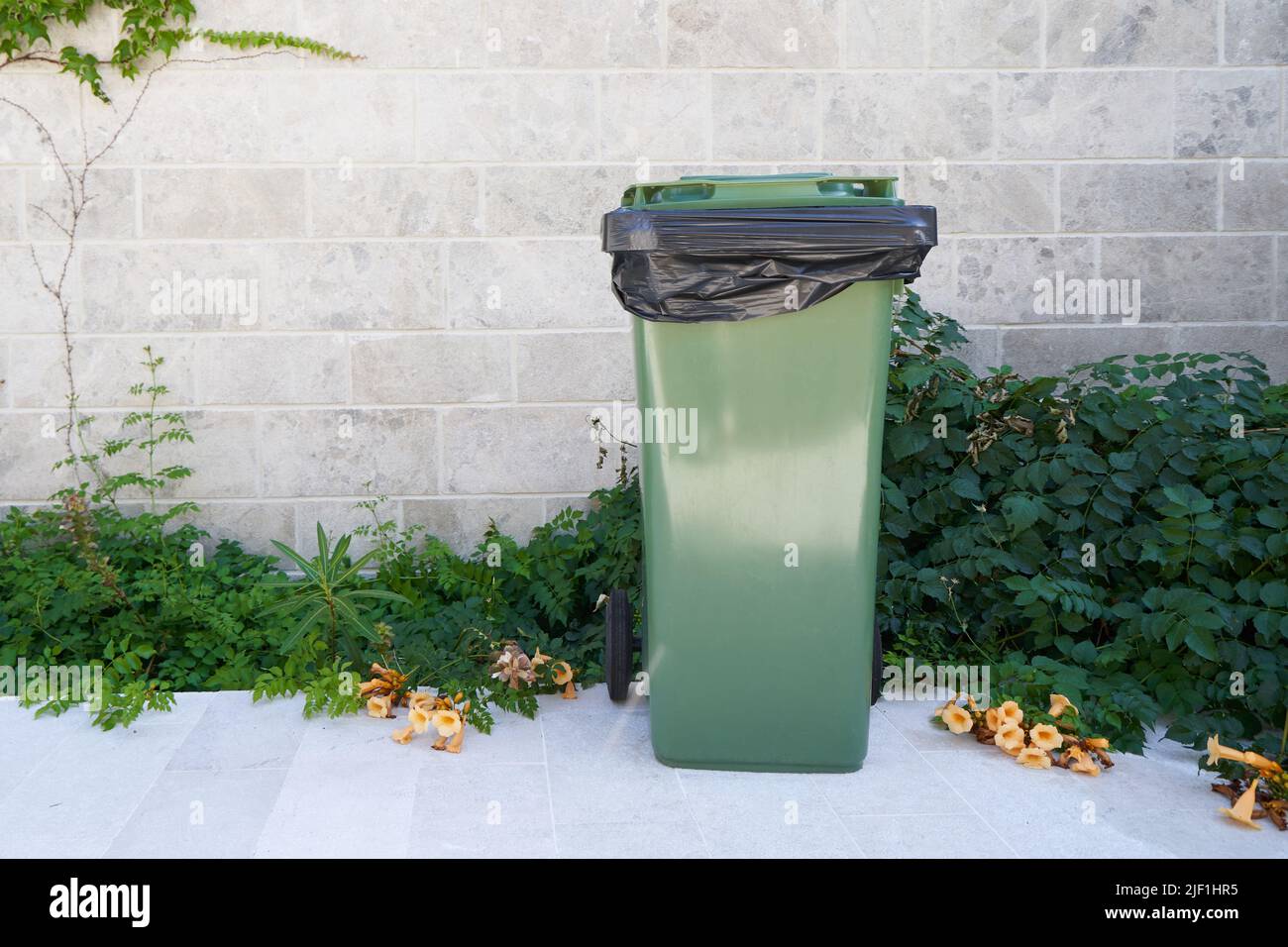 Green trash can on the background of a wall in the garden with flowers ...