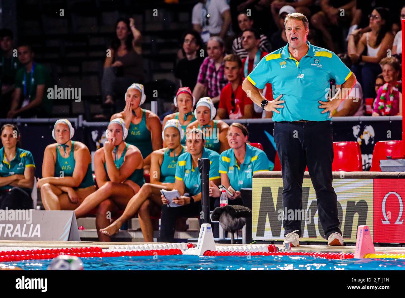 BUDAPEST, HUNGARY - JUNE 28: Head coach Paul Oberman of Australia ...