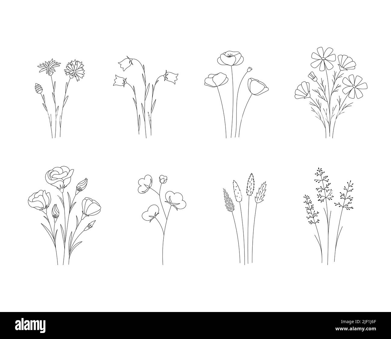 Wildflowers bouquet Black and White Stock Photos & Images - Alamy