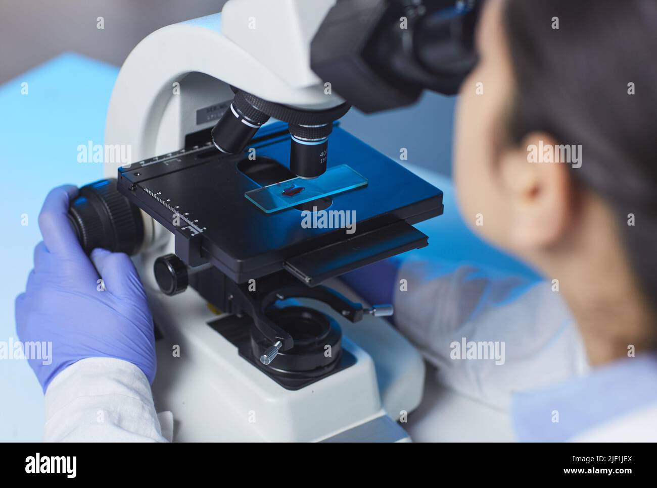 Over shoulder view of unrecognizable scientist investigating sample on ...