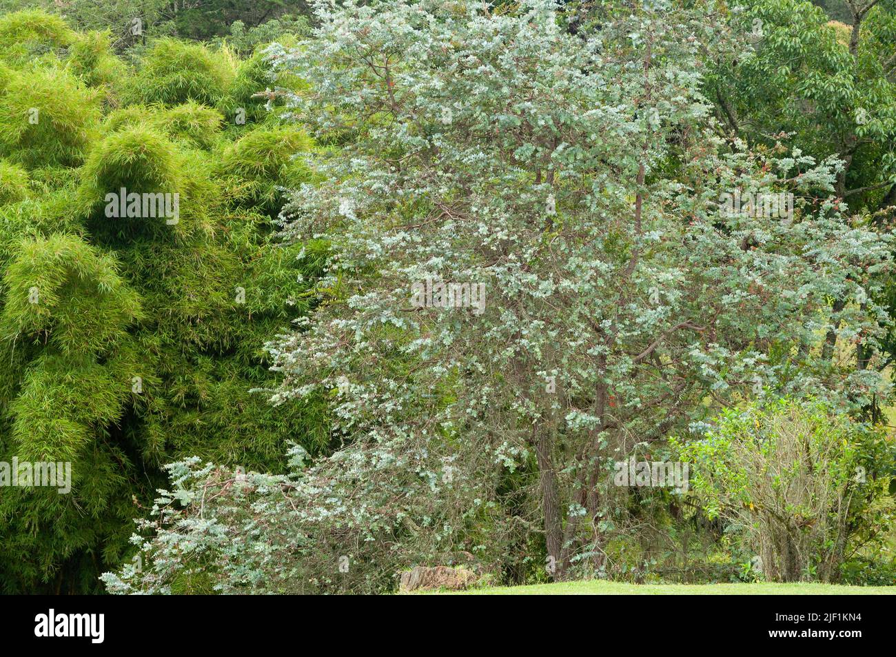 Landscape A Beautiful Natural Garden; Panoramic View Of A Beautiful ...