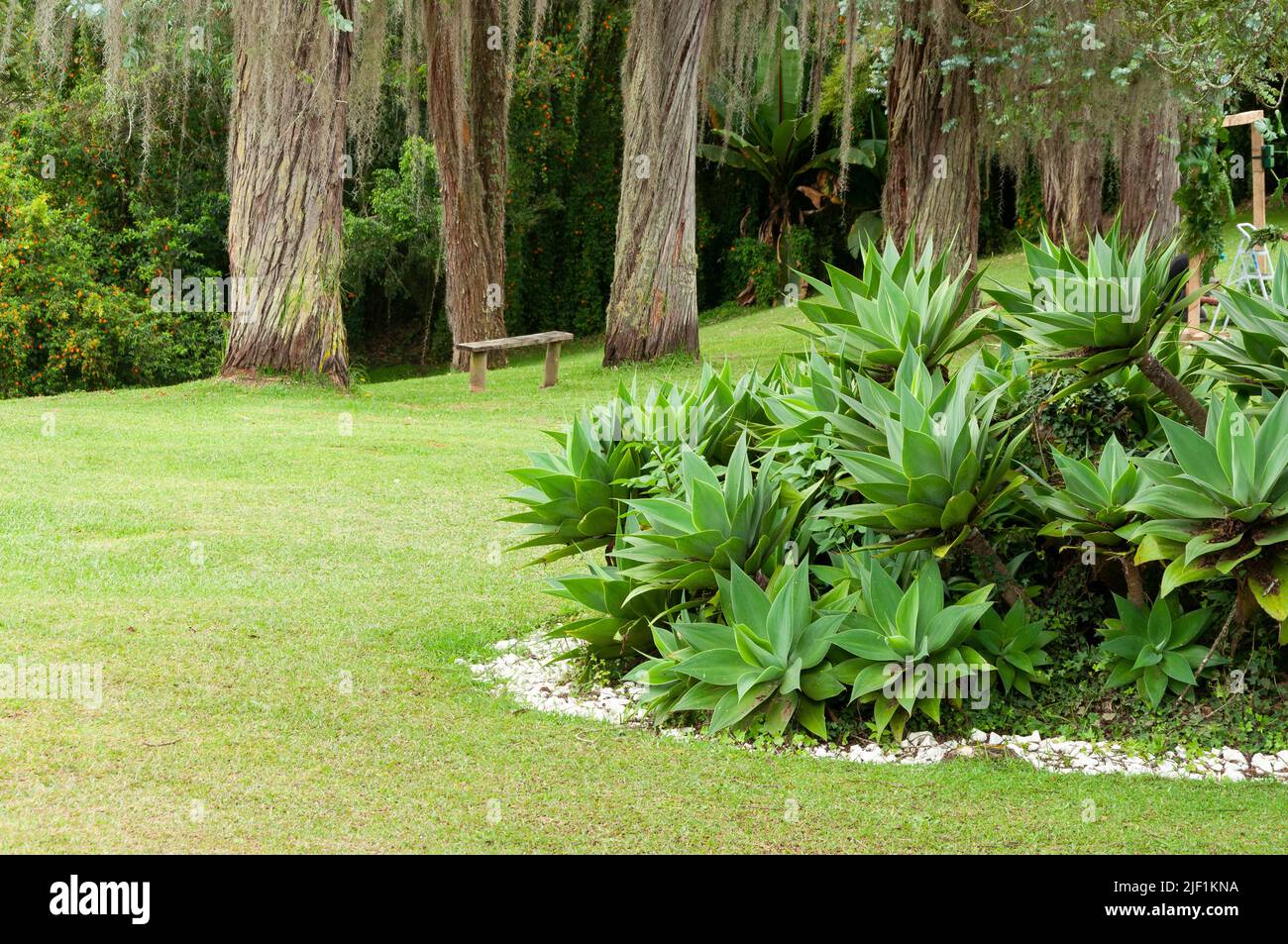 Beautiful natural garden hi-res stock photography and images - Alamy