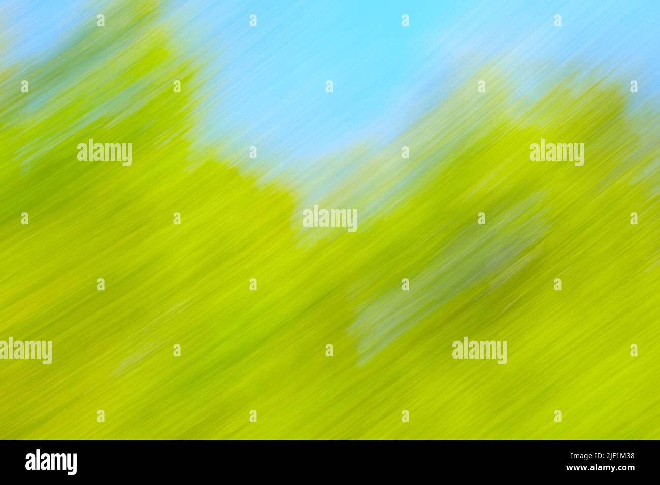 Abstract motion blur spring summer green forest sunny texture ...