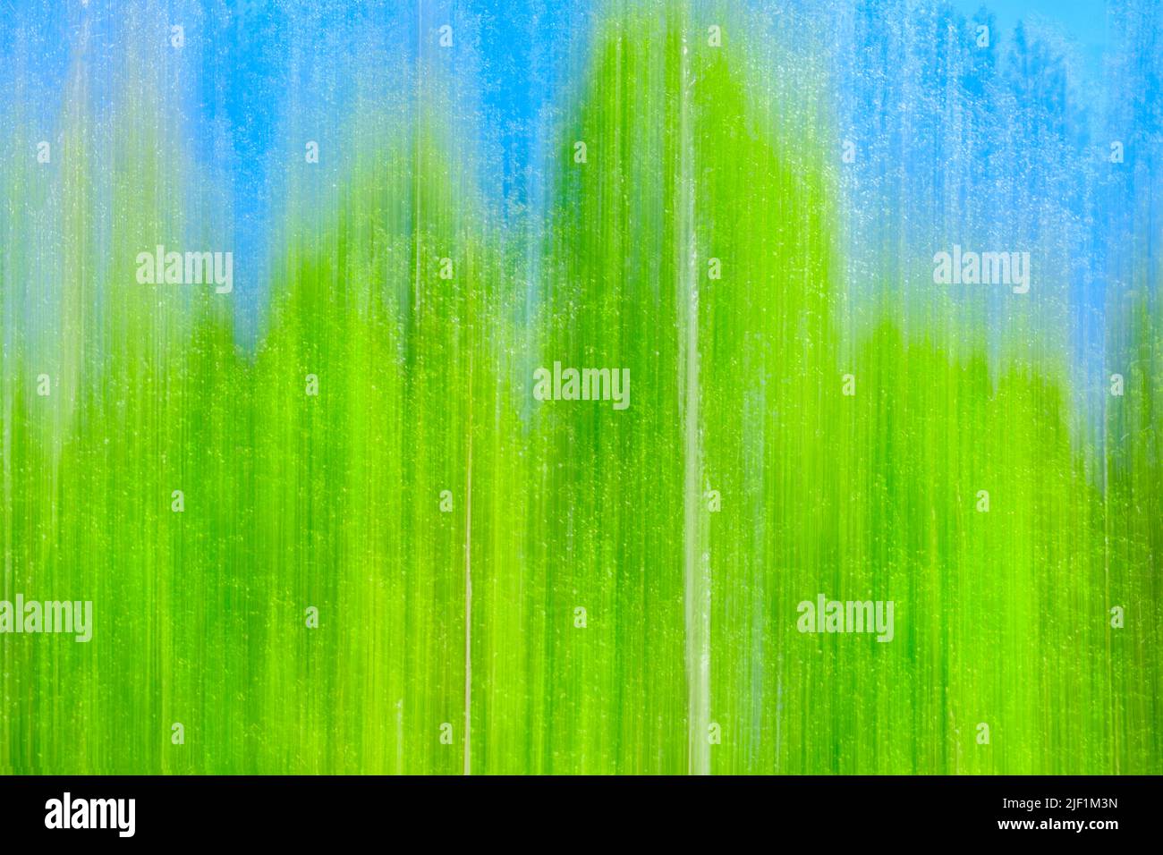Abstract motion blur spring summer green forest sunny texture ...