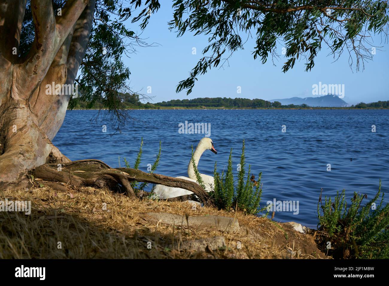 The lake of fogliano hi-res stock photography and images - Alamy