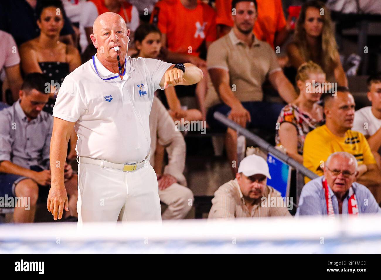 BUDAPEST, HUNGARY - JUNE 28: Referee Michael Goldenberg during the FINA ...