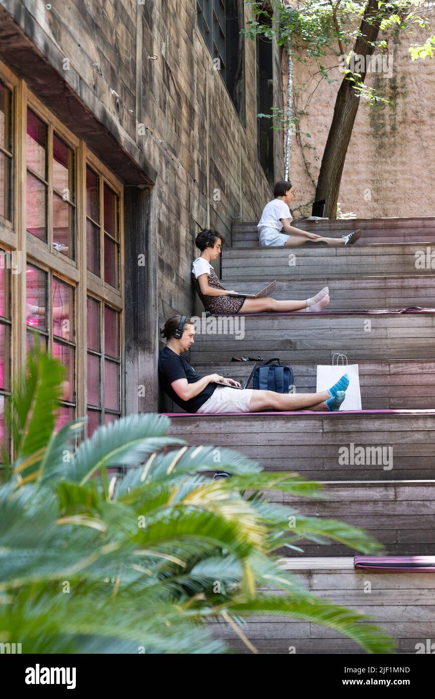 Group of freelancer work on laptop remotely or study in outdoor ...