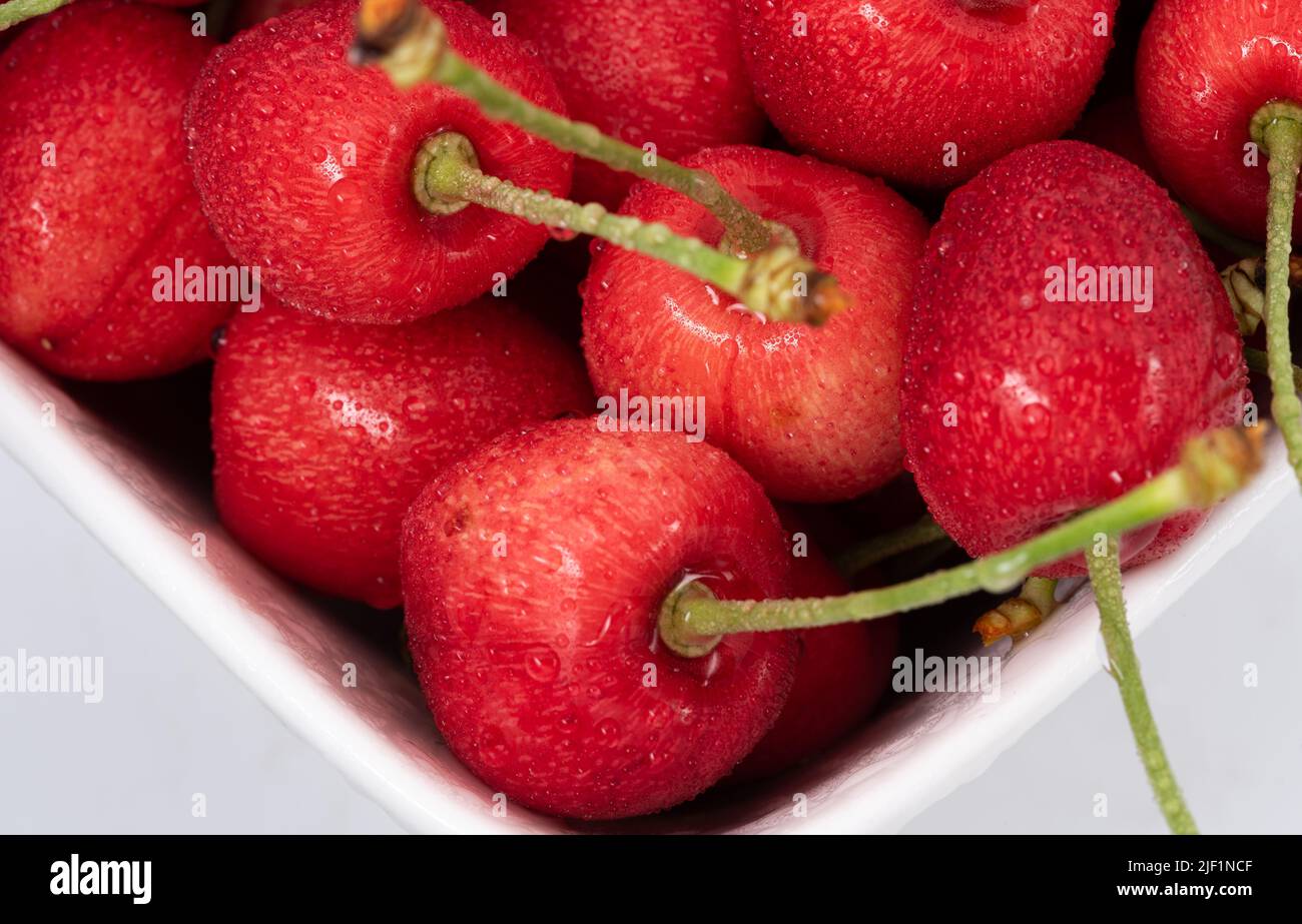 Cherries in close-up. Red fruit with green petioles. The structure of ...