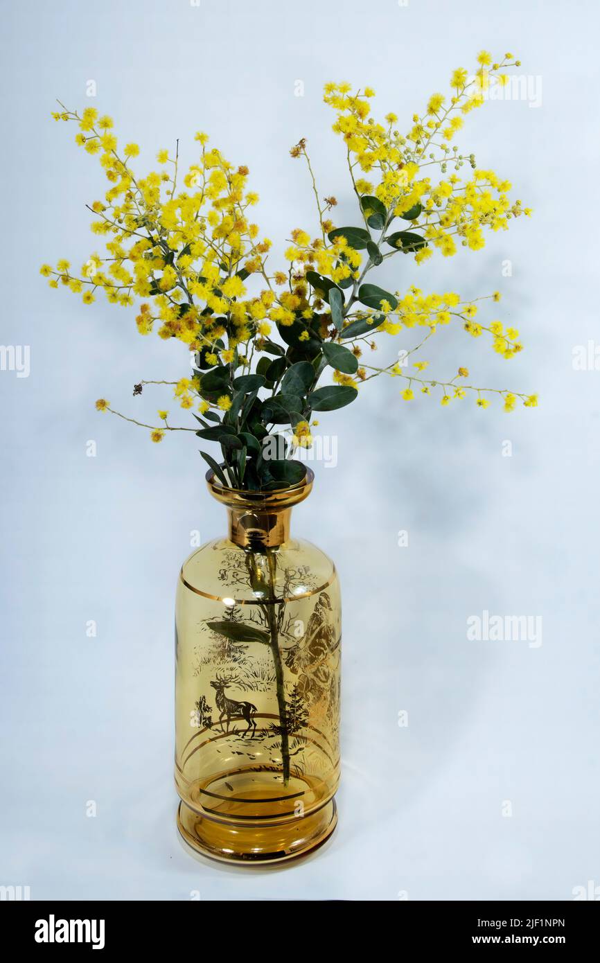 Flw253c hi-res stock photography and images - Alamy