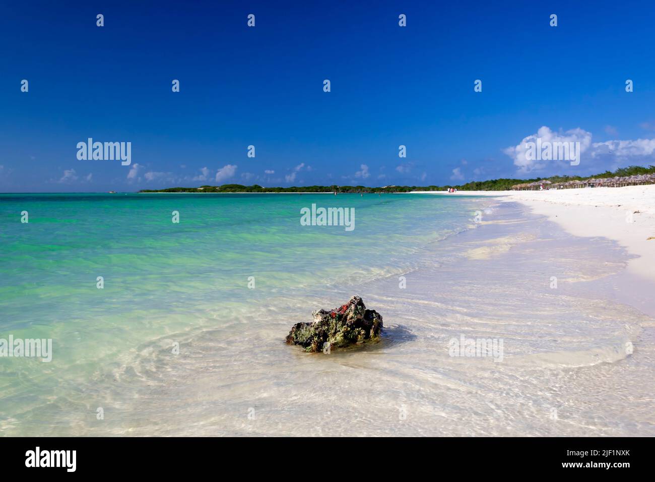 Cayococo hi-res stock photography and images - Alamy