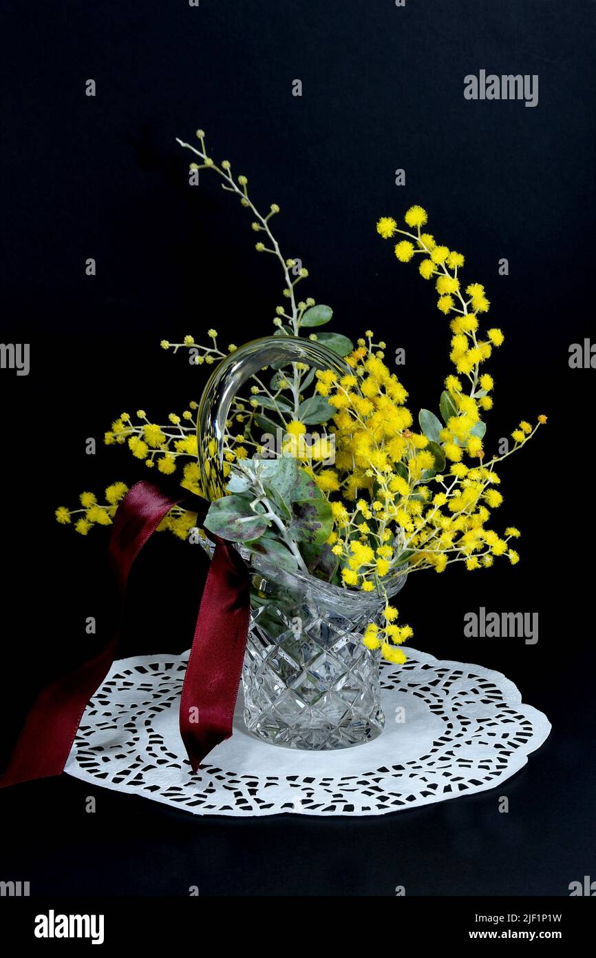 Beautiful fresh Golden Wattle (AKA Mount Morgan Wattle, Silver Wattle ...