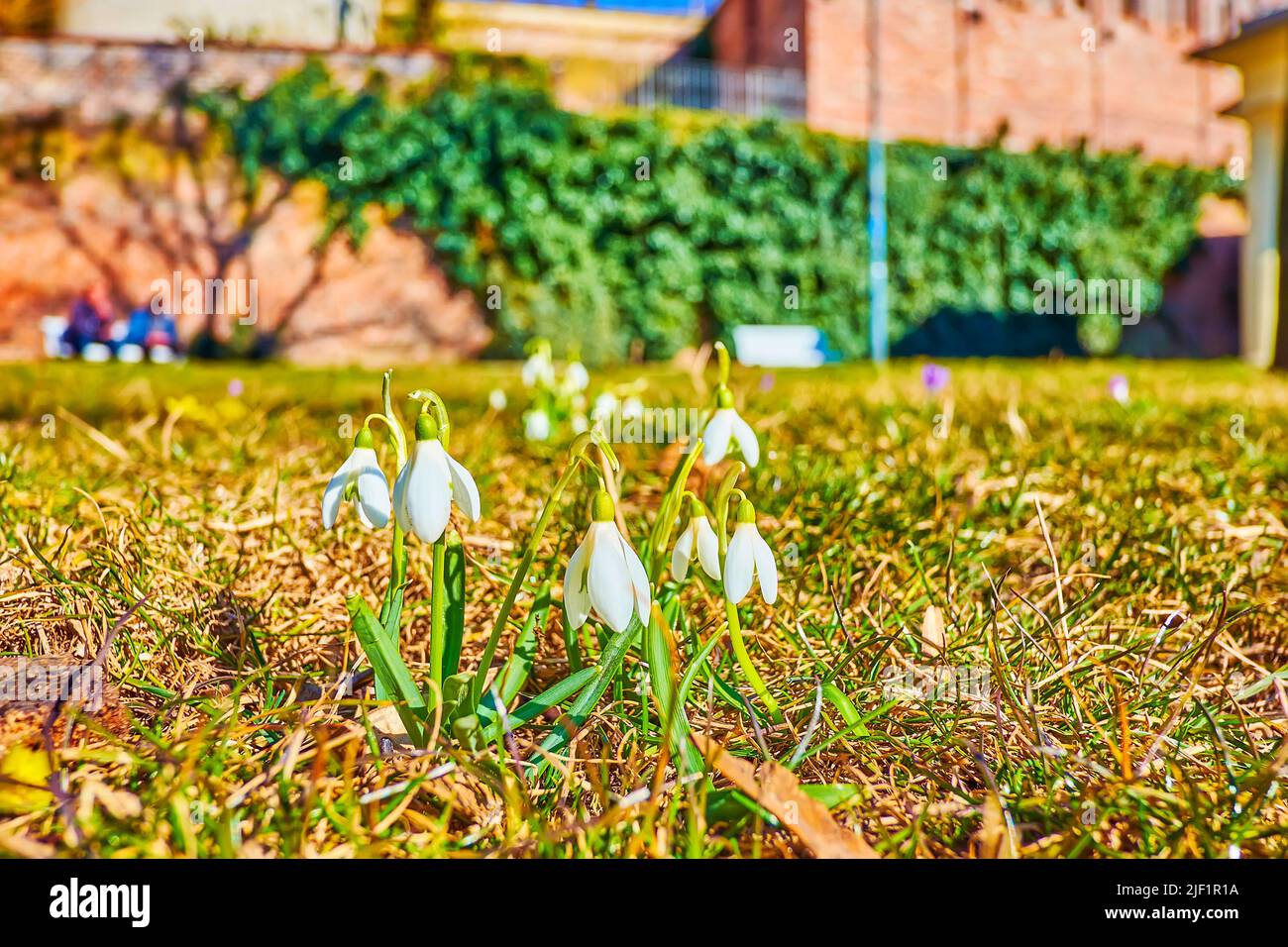 Brno mesto hi-res stock photography and images - Alamy