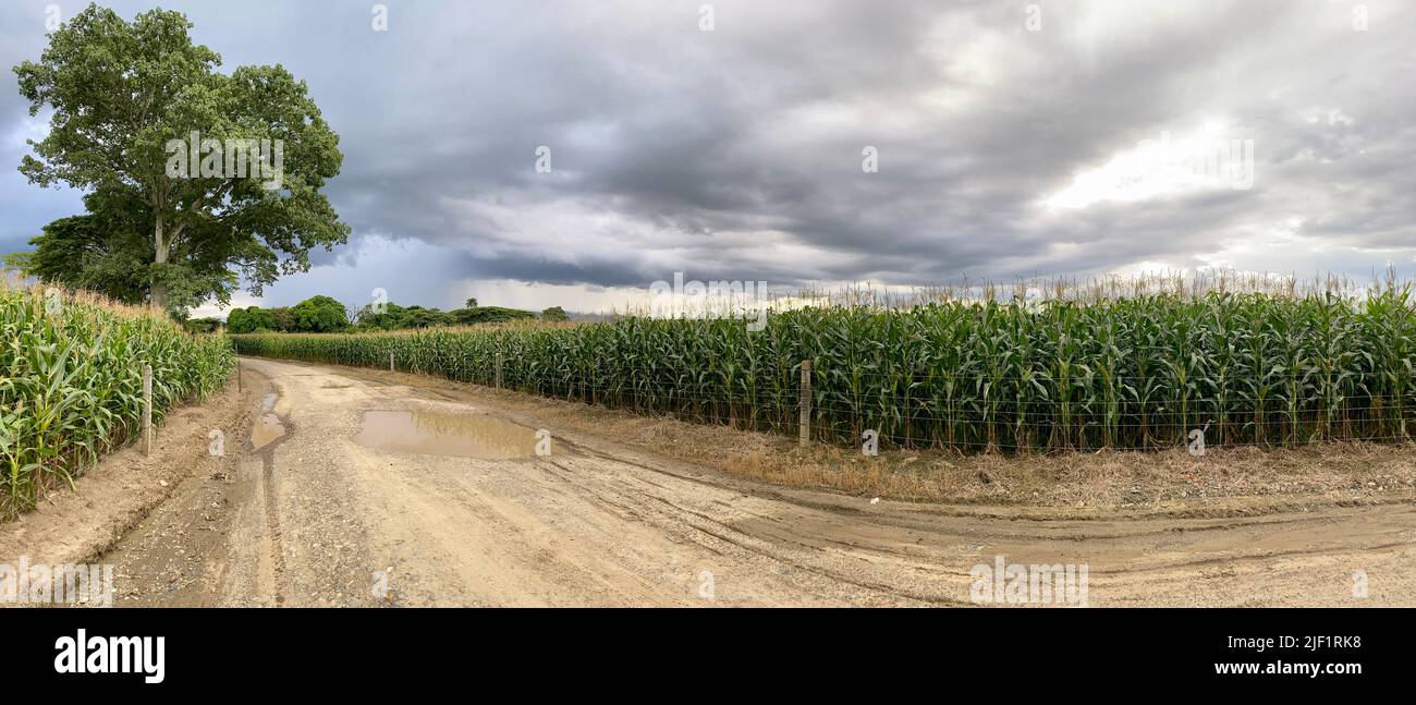 Colombian country hi-res stock photography and images - Alamy