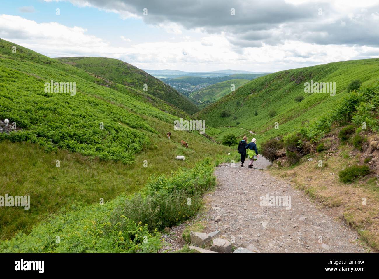 Motts road, Carding Mill Valley, The Long Mynd Stock Photo - Alamy