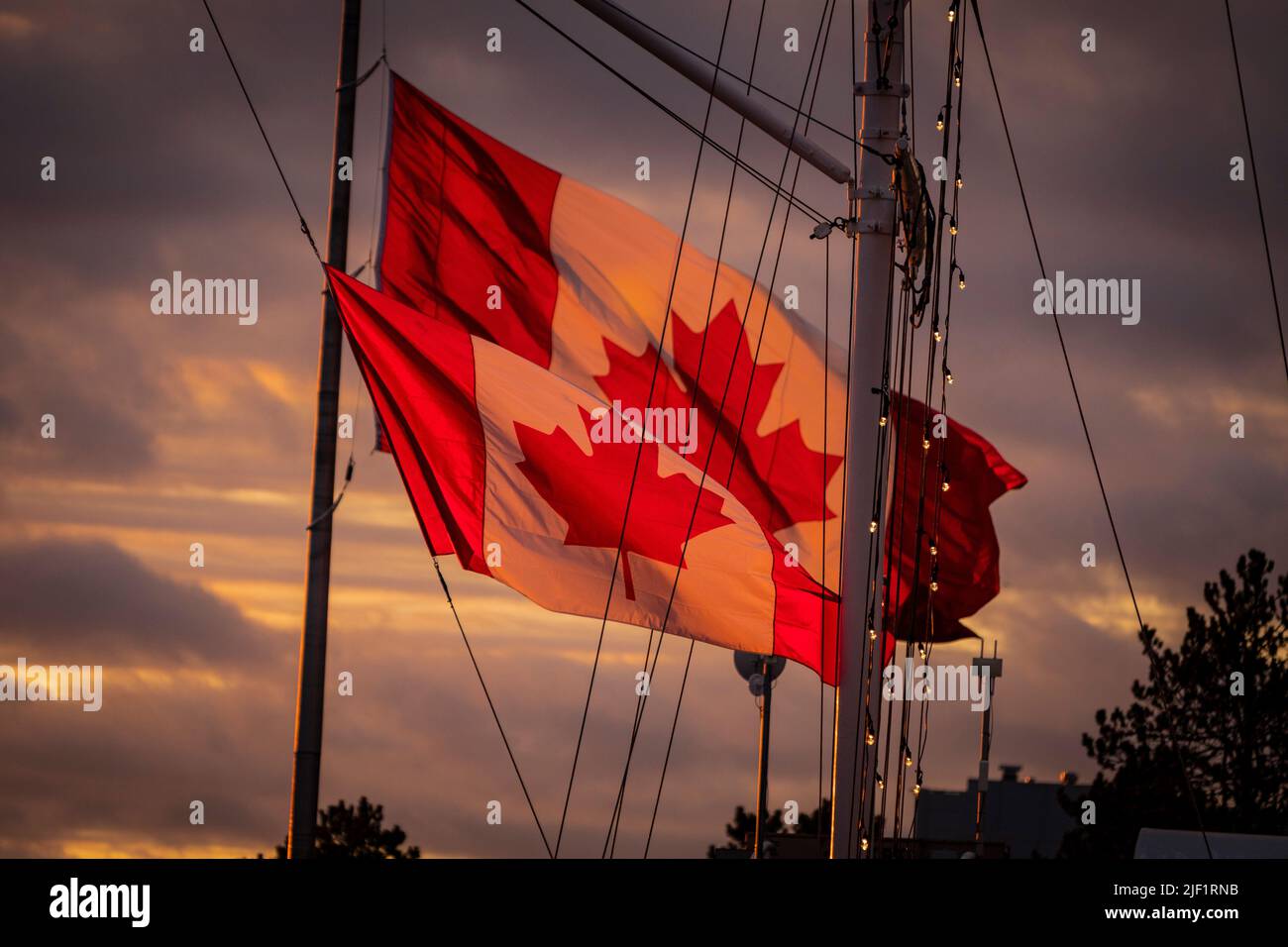 Two Canadian Maple Leaf flags flying at dawn Stock Photo - Alamy
