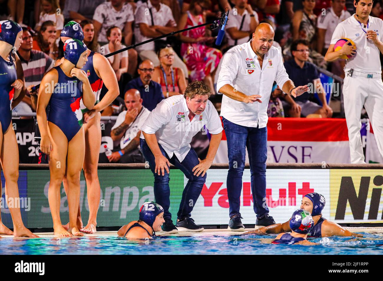 BUDAPEST, HUNGARY - JUNE 28: Head coach Attila Biro of Hungary, Coach ...