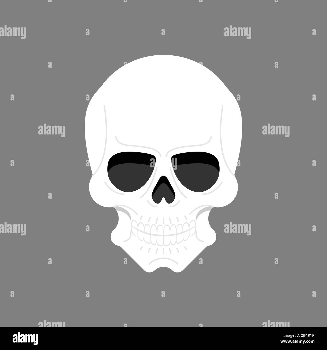 Anatomical skull isolated. skeleton head Vector illustration Stock ...
