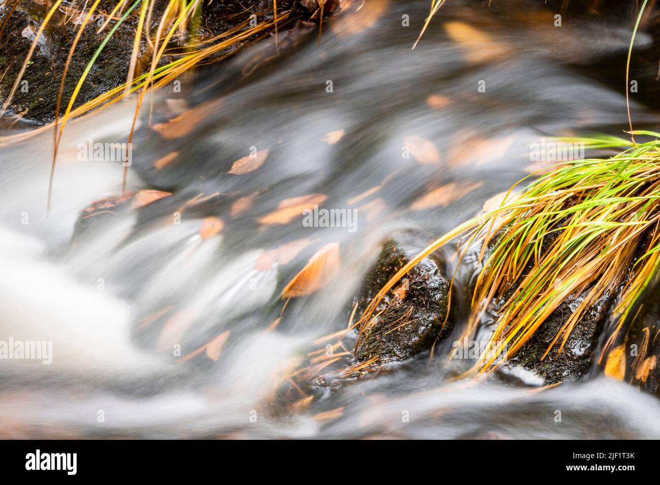 Stream flows through park hi-res stock photography and images - Alamy