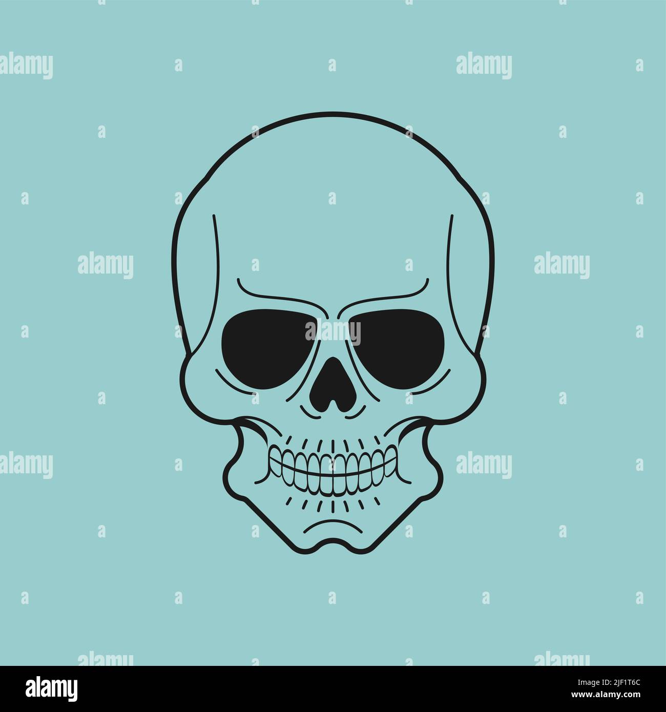 Anatomical skull isolated. skeleton head Vector illustration Stock ...