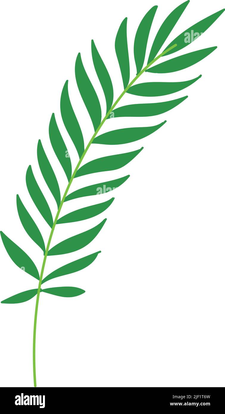 Isolated green nature leaf icon flat design Vector Stock Vector Image ...