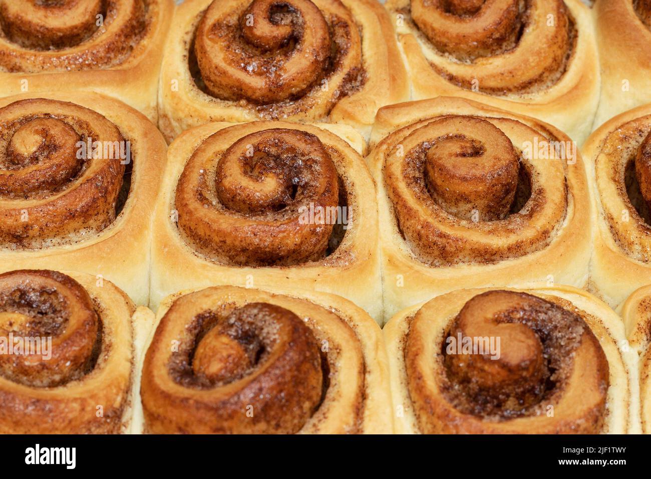 Homemade sweet cinnamon rolls. Close Up of freshly cooked buns Stock ...