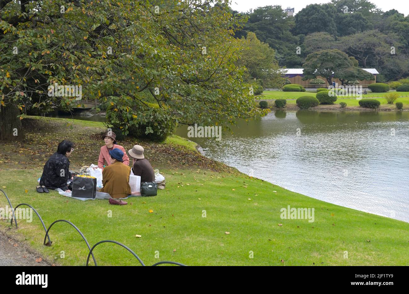 Daily scenes from a fall afternoon in the Shinjuku Gyoen National ...