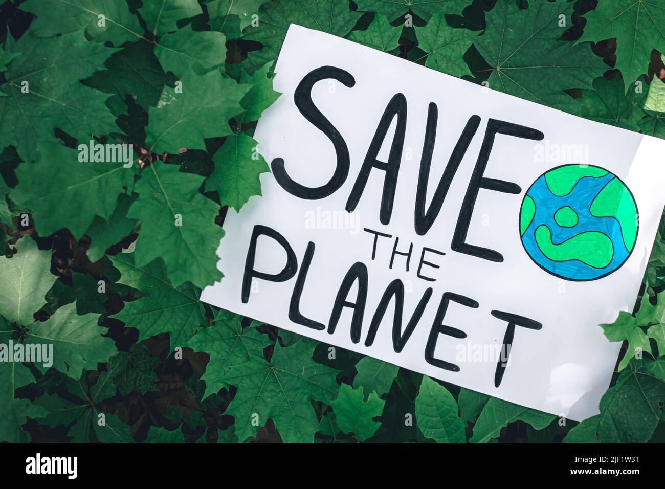 Poster with the inscription save the planet in the forest among the ...