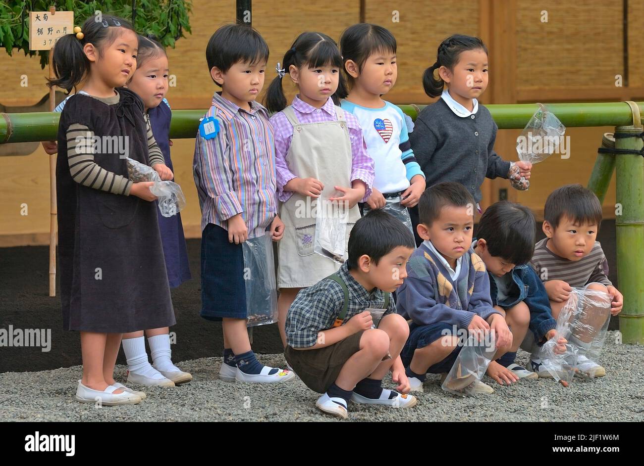 Daily scenes from a fall afternoon in the Shinjuku Gyoen National ...