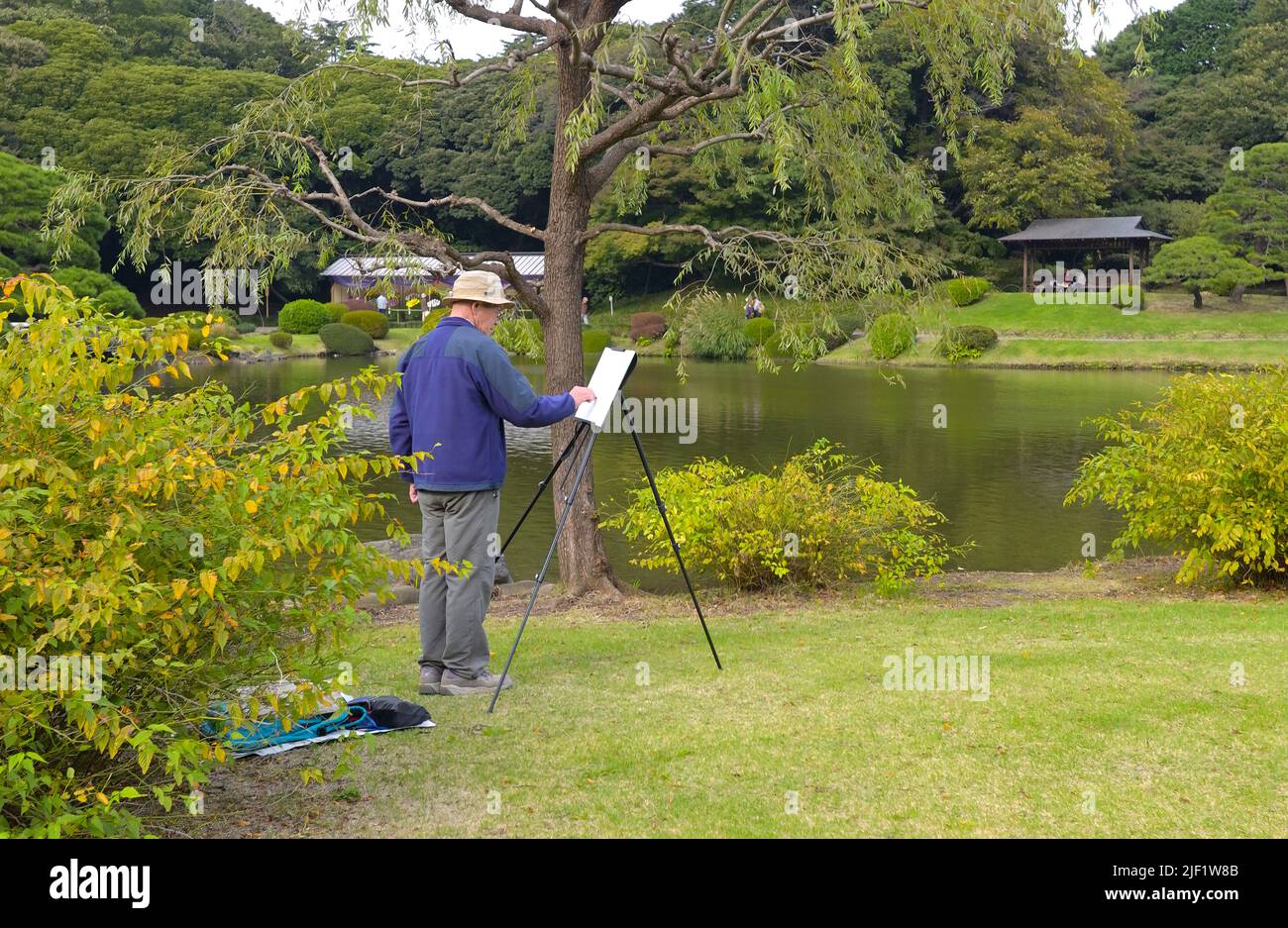 Daily scenes from a fall afternoon in the Shinjuku Gyoen National ...