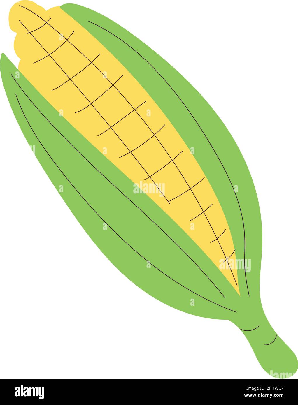 Isolated sketch of a corn Flat design Vector Stock Vector Image & Art ...