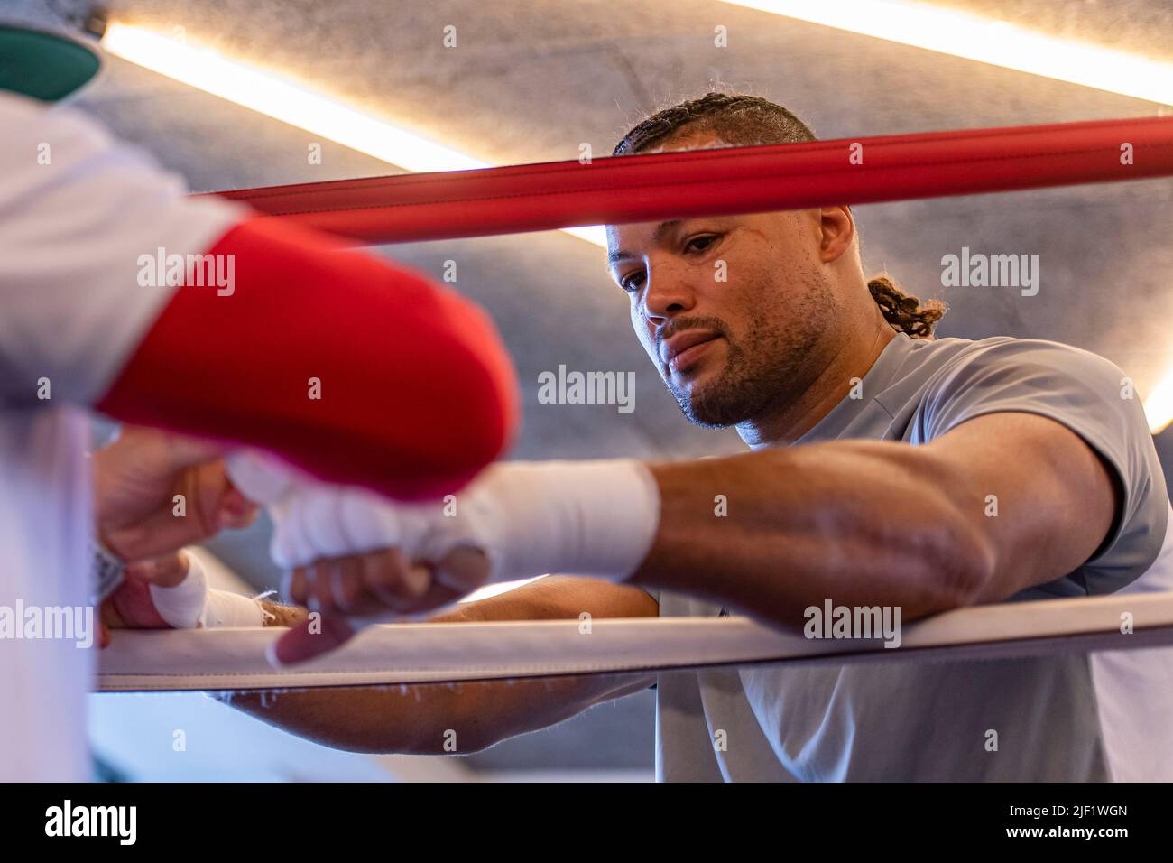 Joe joyce boxer hi-res stock photography and images - Alamy