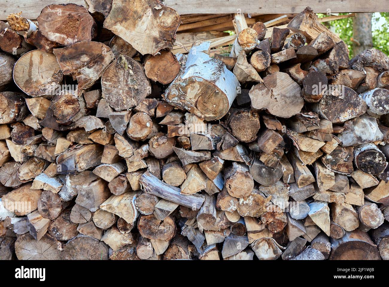 Wooden natural sawn logs as background, top view, flat lay Stock Photo ...