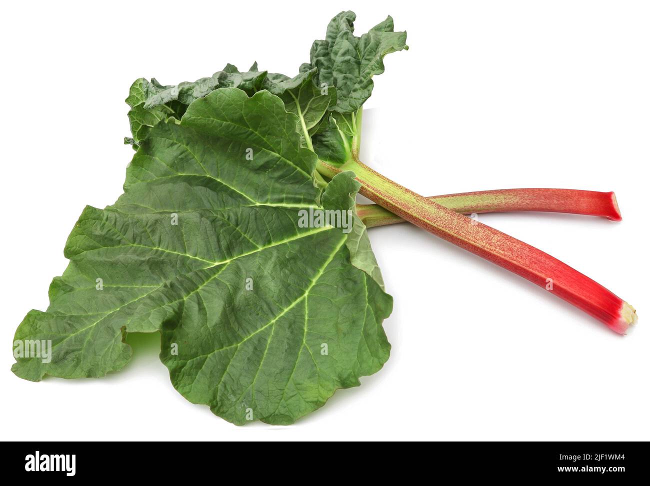 Fresh rhubarb over white background Stock Photo - Alamy