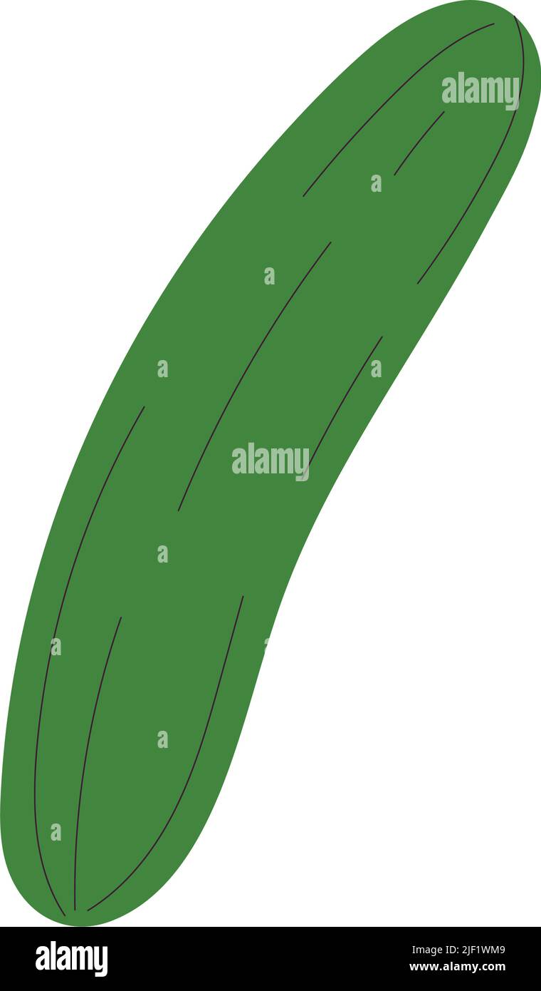 Isolated sketch of a pickle icon Flat design Vector Stock Vector Image ...