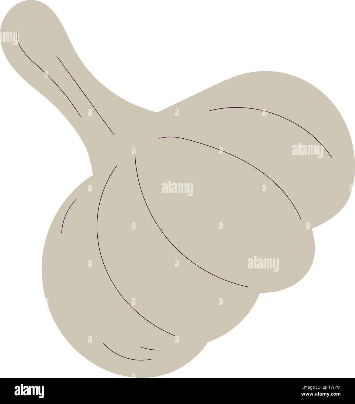 Isolated sketch of a garlic icon Flat design Vector Stock Vector Image ...