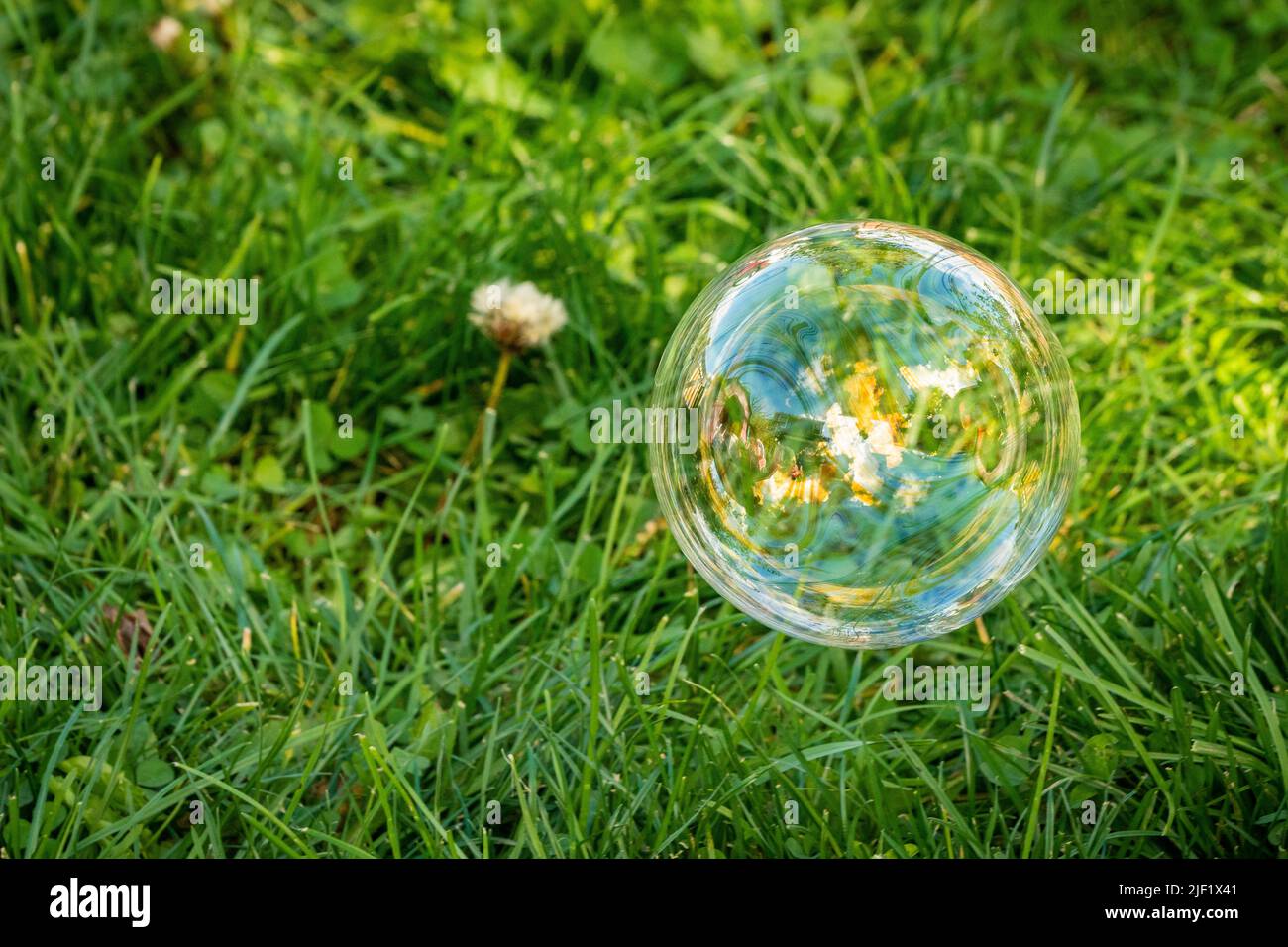 Soap bubble floating in the air over a grass lawn Stock Photo - Alamy