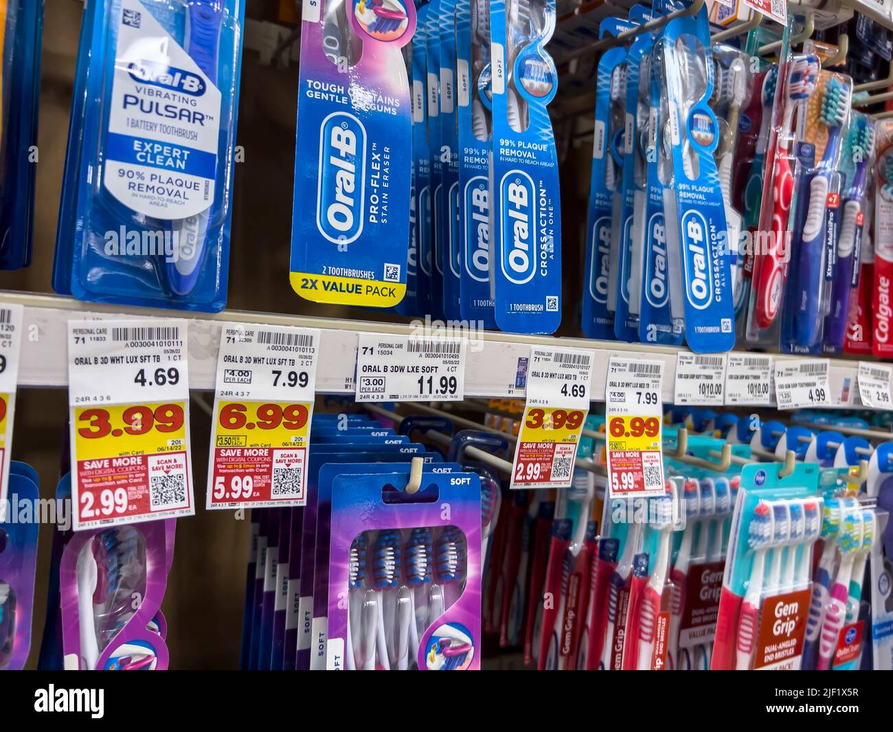 Everett, WA USA - circa June 2022: Angled close up of a variety of ...