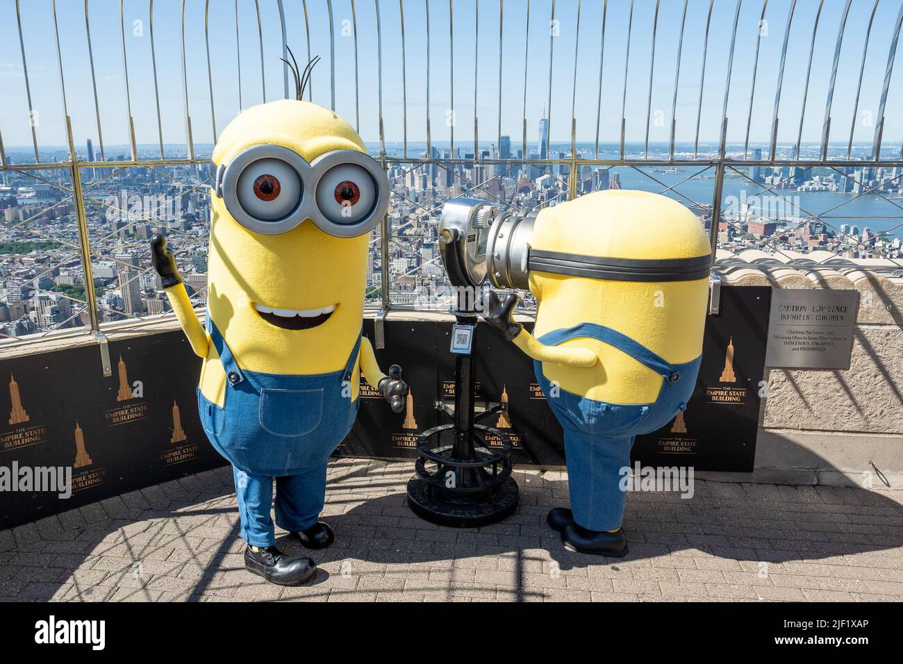 Minion Ny Yankees Baseball