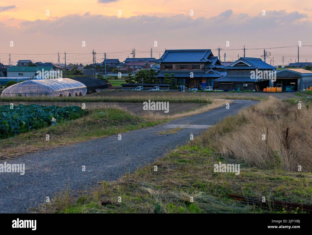 Road leads to large Japanese family home with fields and greenhouse in ...
