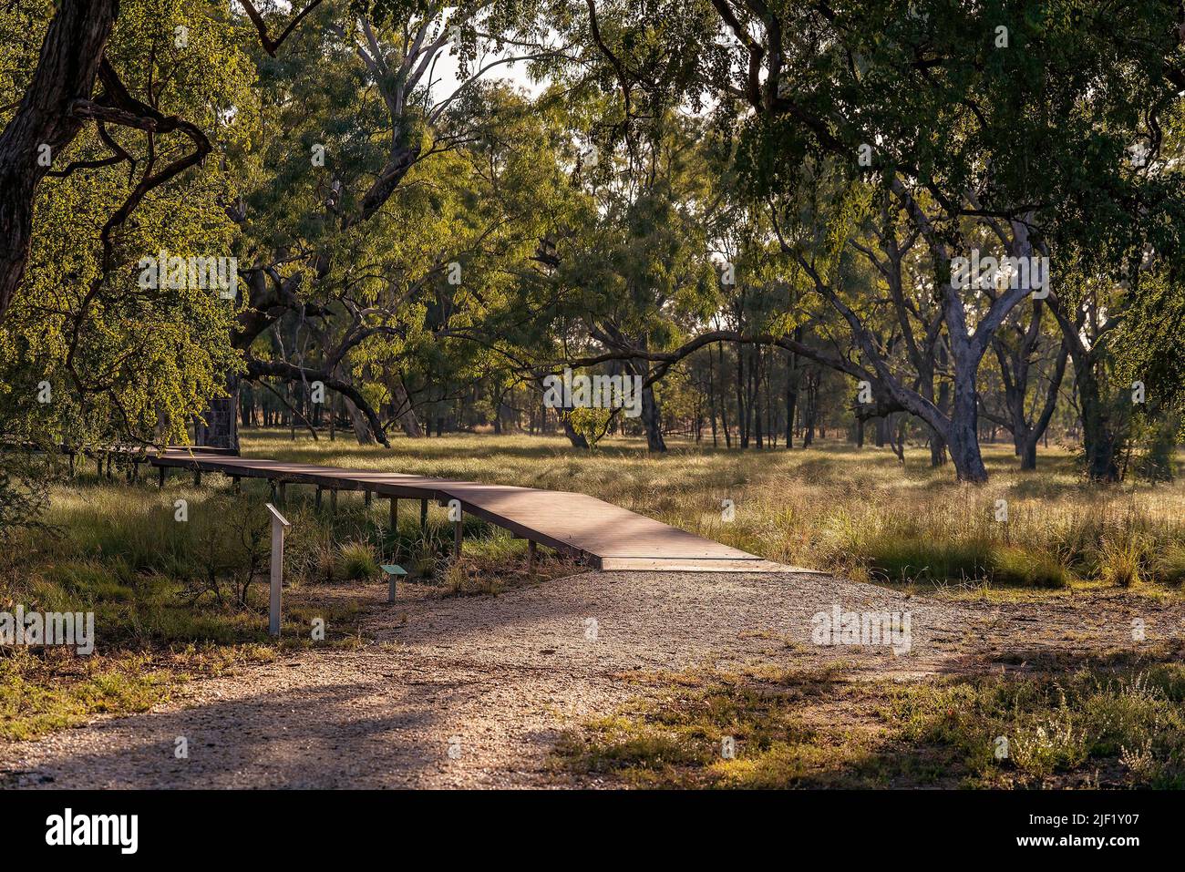 A timber platform over the Sapphire Wetlands Reserve stretching out ...