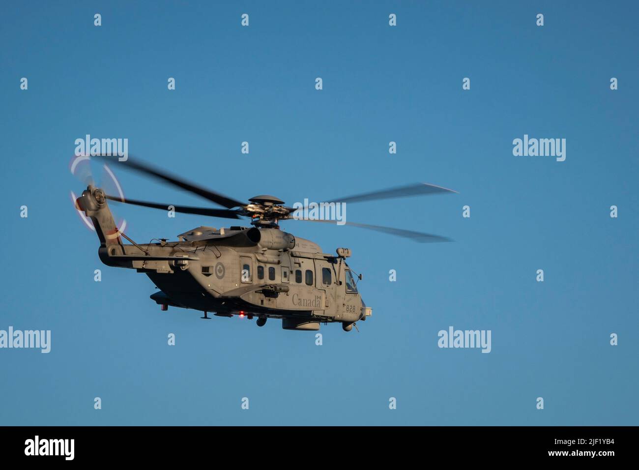 The Royal Canadian Air Force's Cyclone naval helicopter is derived from ...