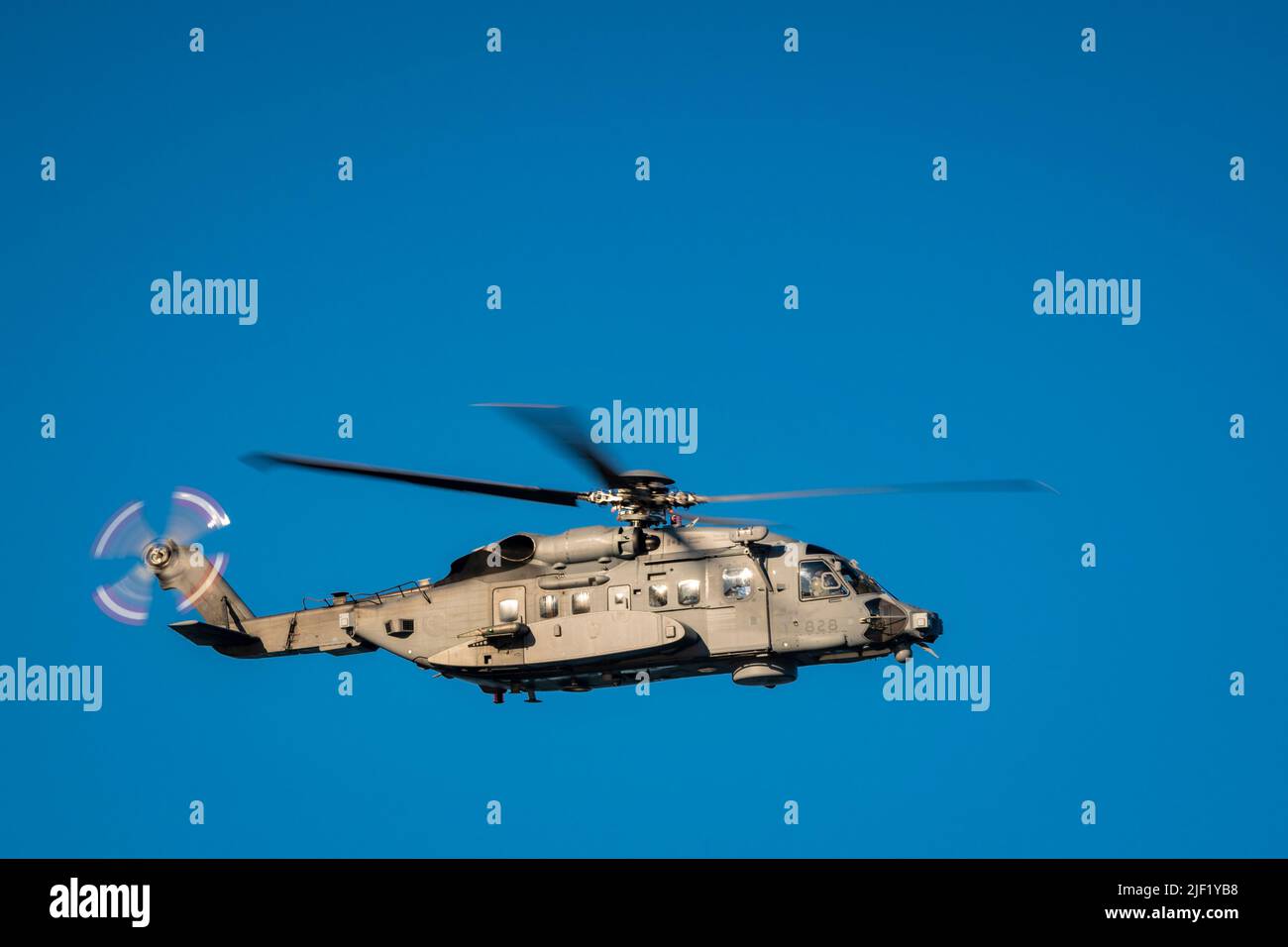 The Royal Canadian Air Force's Cyclone naval helicopter is derived from ...