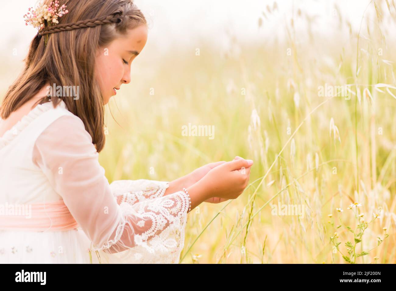 communion girl. catholic religion child celebration hispanic female ...