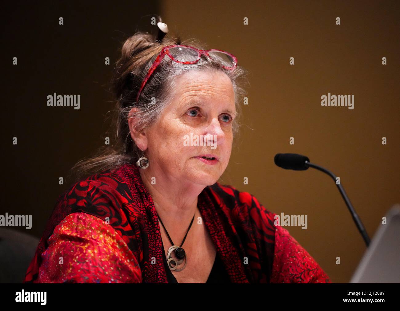 Pamela Cross, VAW Activist and Legal Expert, reacts following the ...