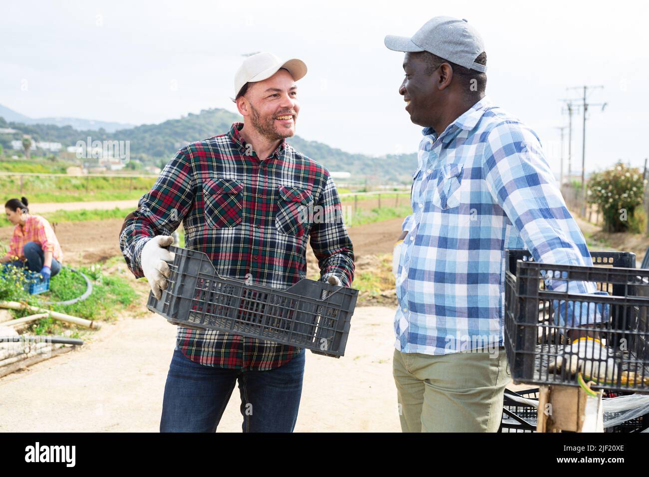 Two male farmers talking on vegetable farm Stock Photo - Alamy