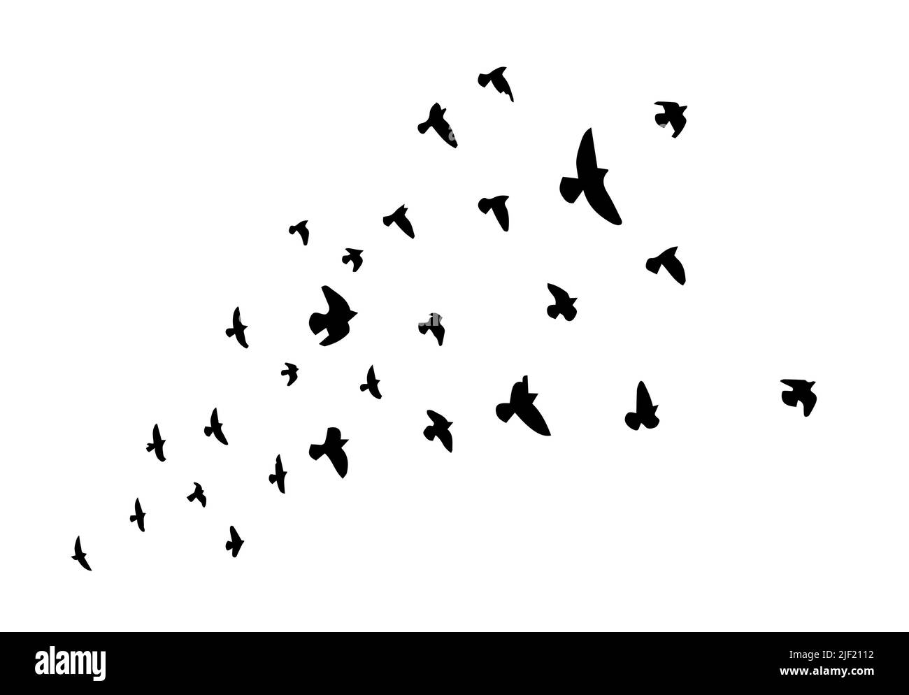 A flock of flying birds. Free birds. Vector illustration Stock Vector ...