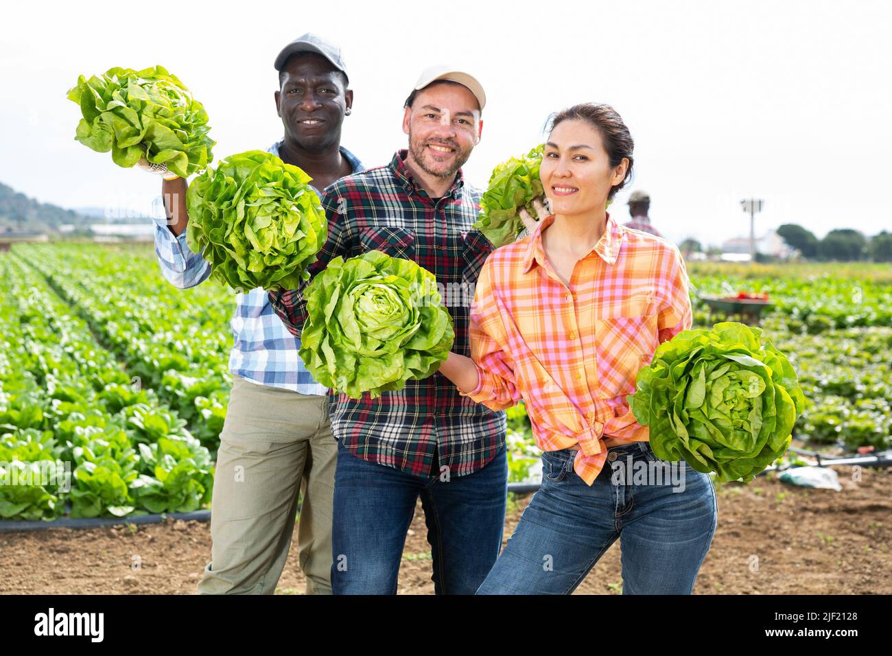Group of nigerian farmers hi-res stock photography and images - Alamy