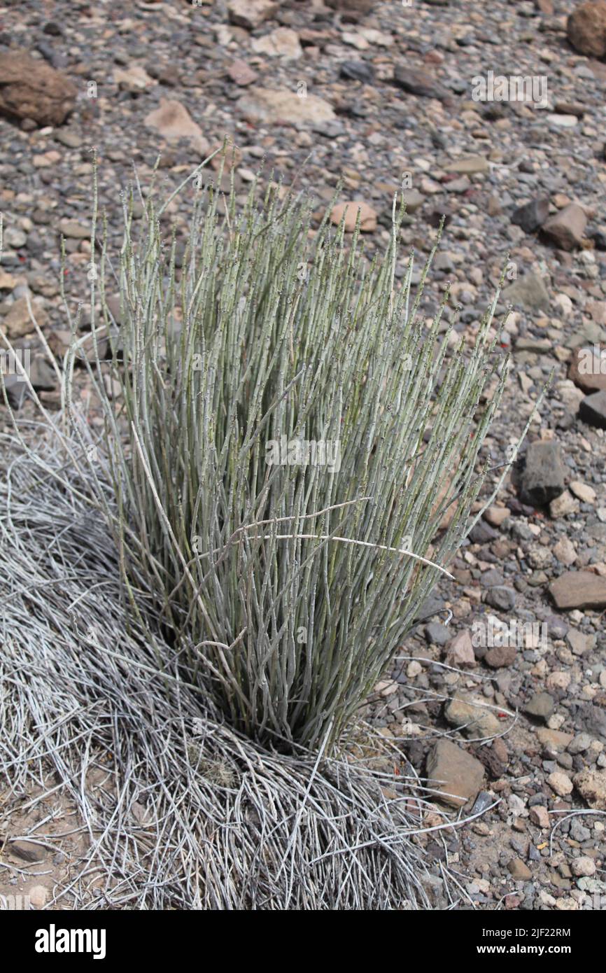 Mexico texas border hi-res stock photography and images - Alamy