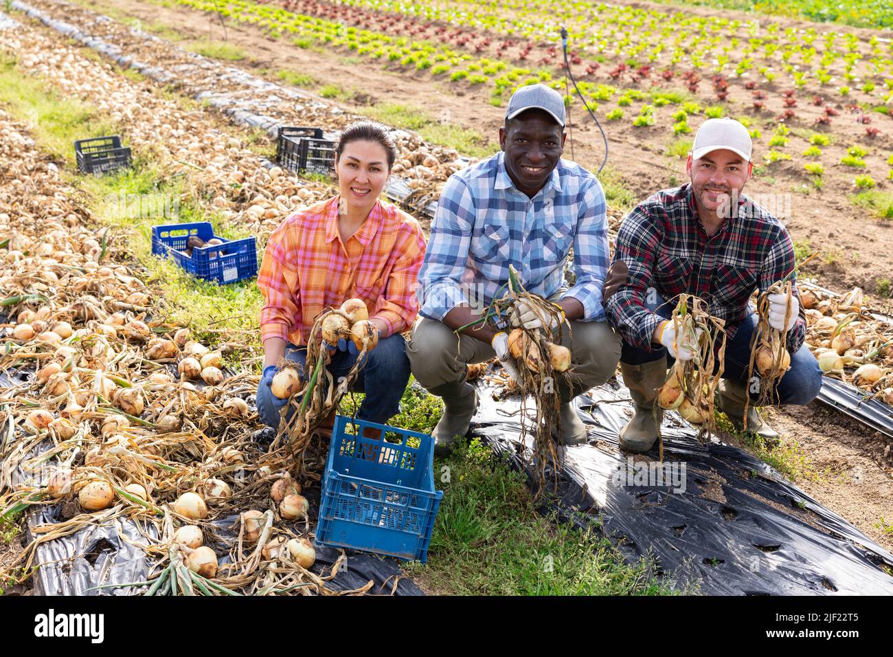 Group photo of cheerful farmers with onion Stock Photo - Alamy