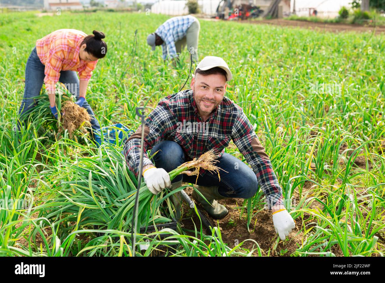 Confident farmer picking spring hi-res stock photography and images - Alamy